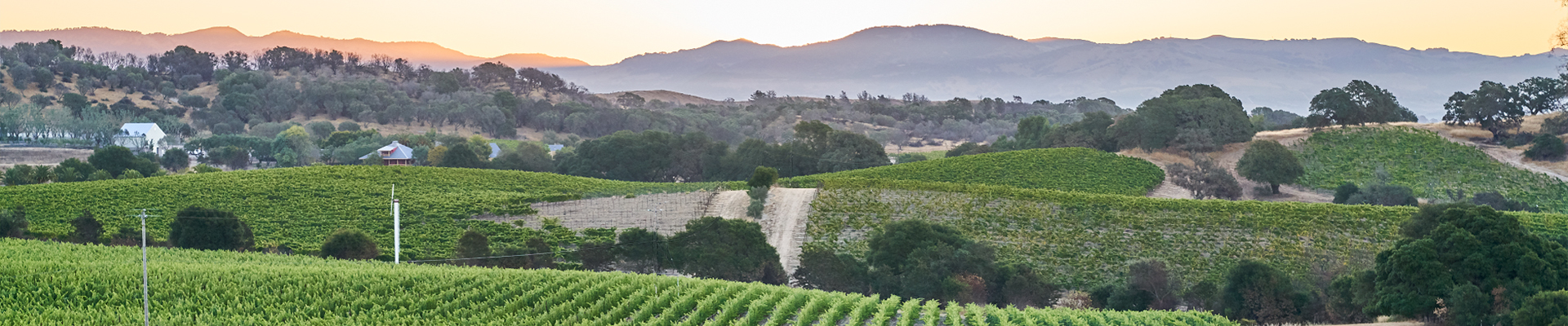 Hudson Ranch – The Wine Treasury Ltd.